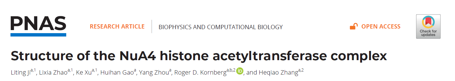 免化所Roger Kornberg/张贺桥团队解析组蛋白乙酰转移酶NuA4复合物冷冻电镜结构