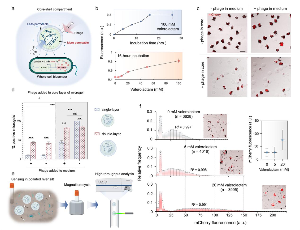 物质学院刘一凡课题组提出一种可调控体外微区室化反应策略