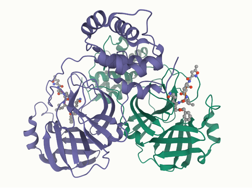 我校饶子和/杨海涛团队解析的新冠病毒3CL水解酶晶体结构入选PDB本月明星分子