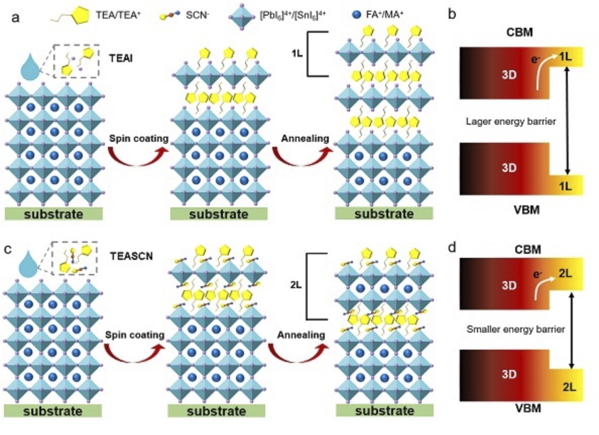 New progress in research on narrow band gap perovskite solar cells