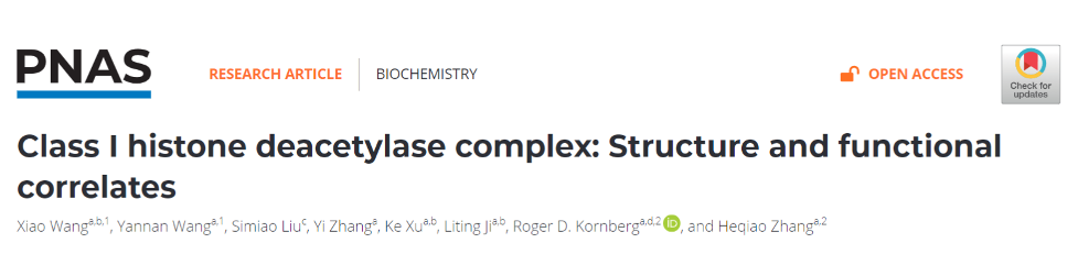 SIAIS researchers report the cryo-EM structure of Class I histone ...
