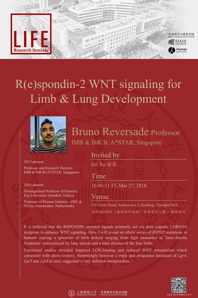 R(e)spondin-2 WNT signaling for Limb & Lung Development