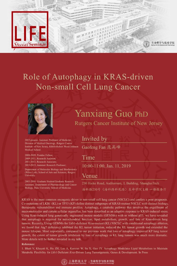 Role of Autophagy in KRAS-driven Non-small Cell Lung Cancer