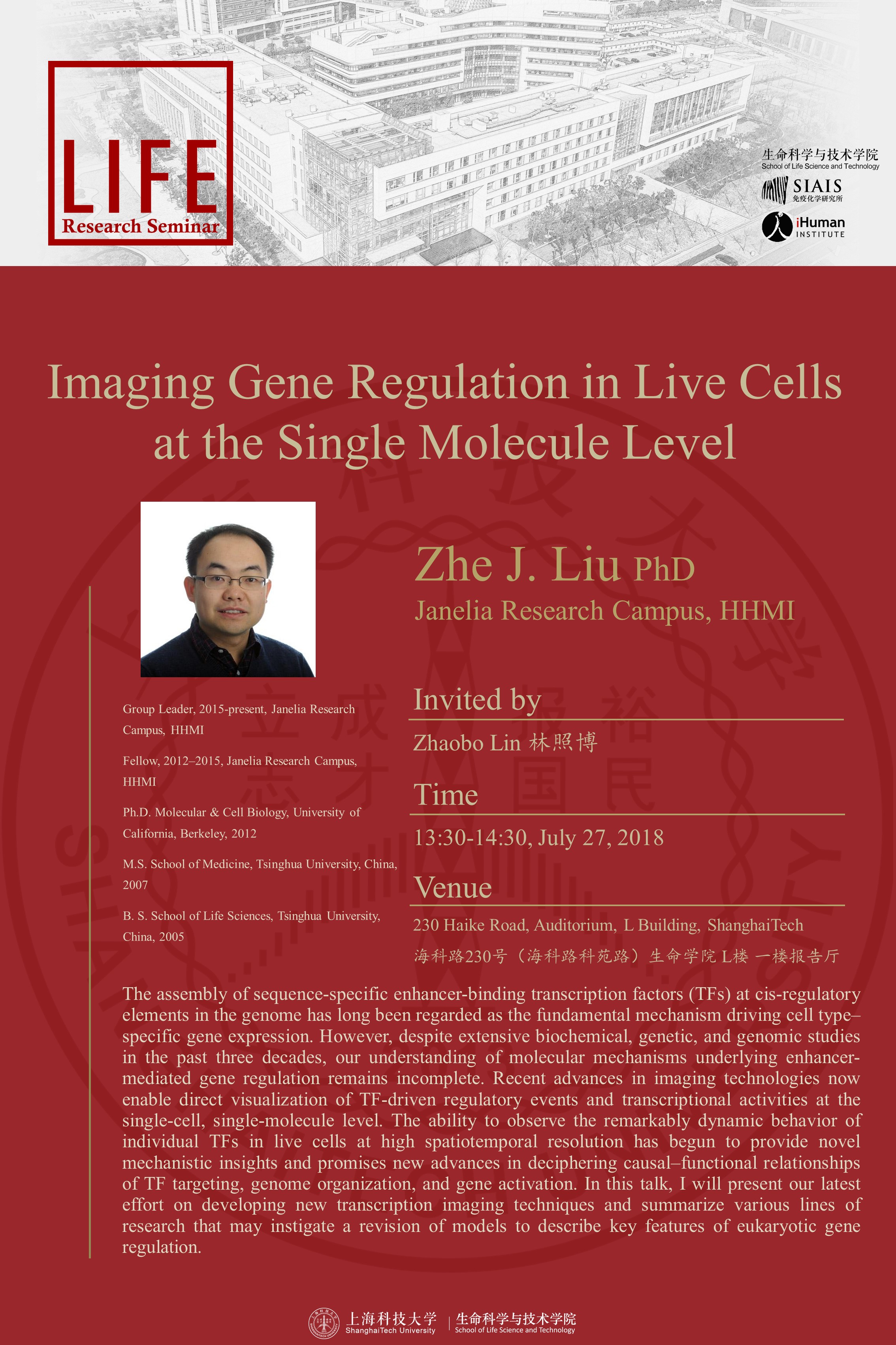 Imaging Gene Regulation in Live Cells at the Single Molecule Level