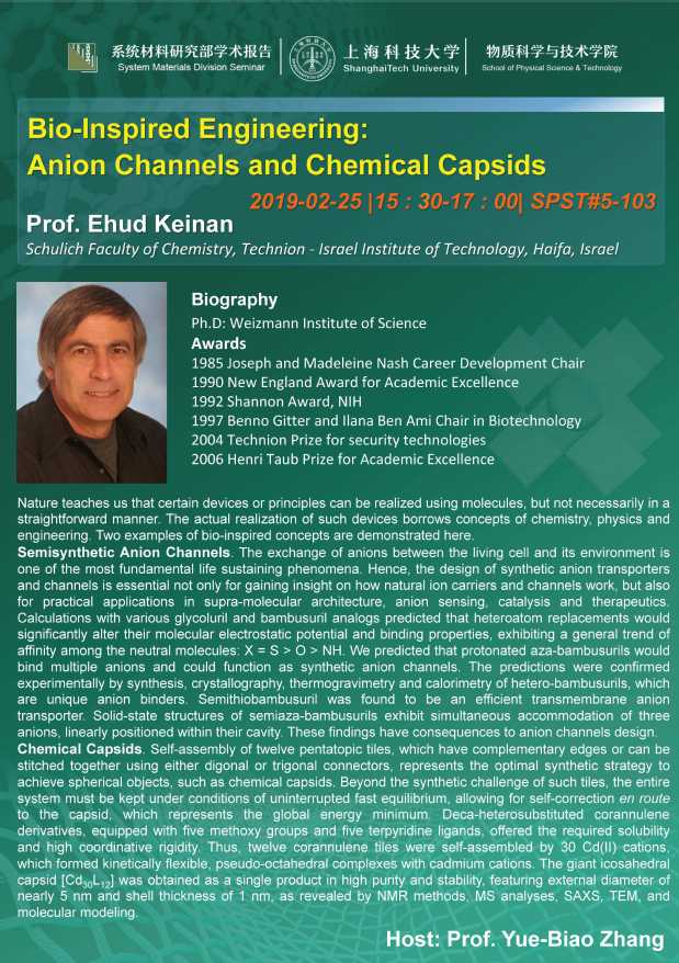 Bio-Inspired Engineering: Anion Channels and Chemical Capsids