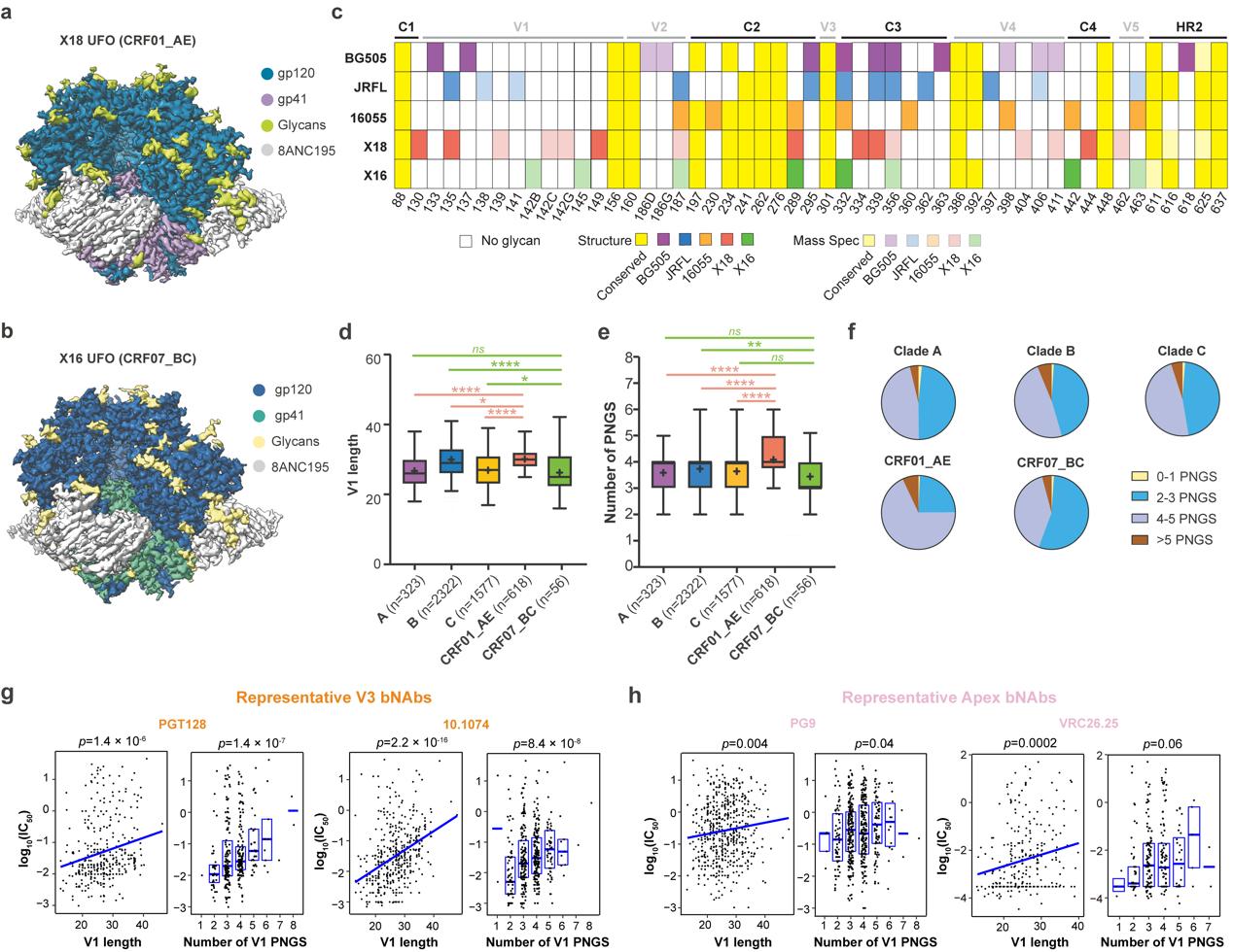 免化所杨贝课题组与合作者揭示HIV-1流行重组亚型的Env蛋白结构与免疫识别特征