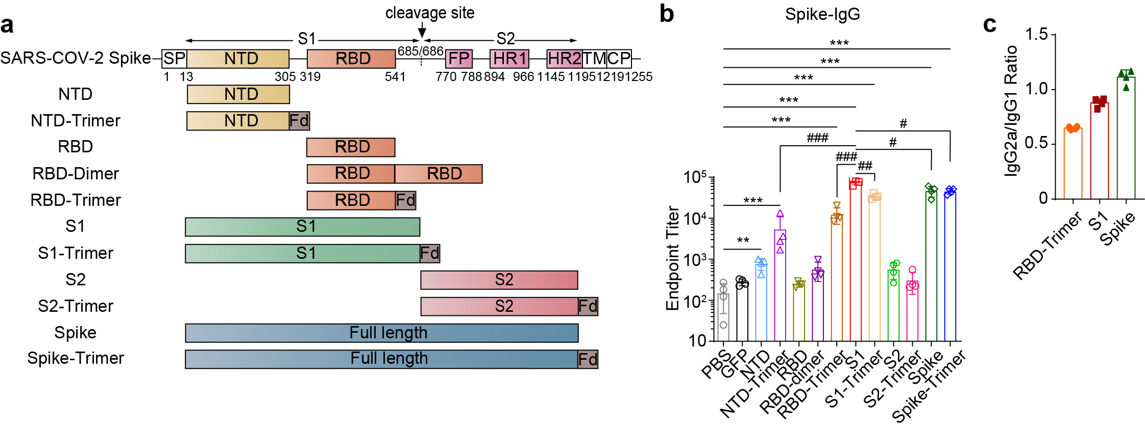 iHuman研究所与生命学院团队合作开发新型AAV载体新型冠状病毒疫苗